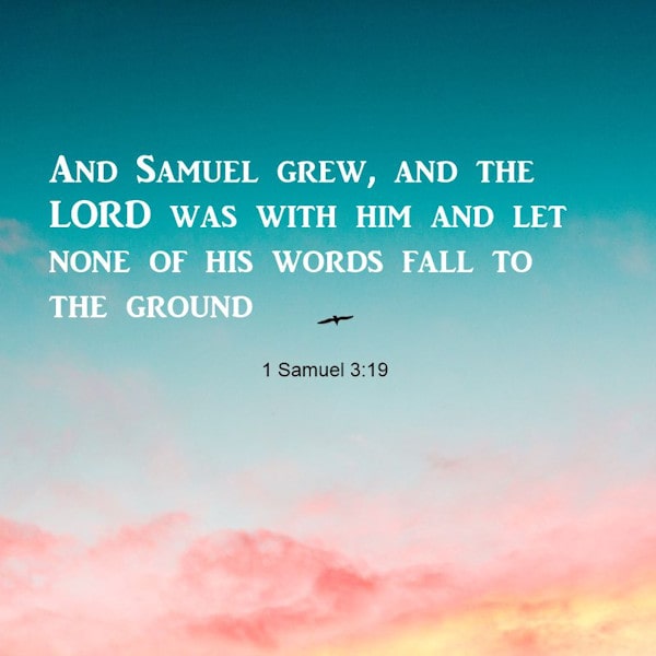 Books Of 1 And 2 Samuel Explained Verse by verse